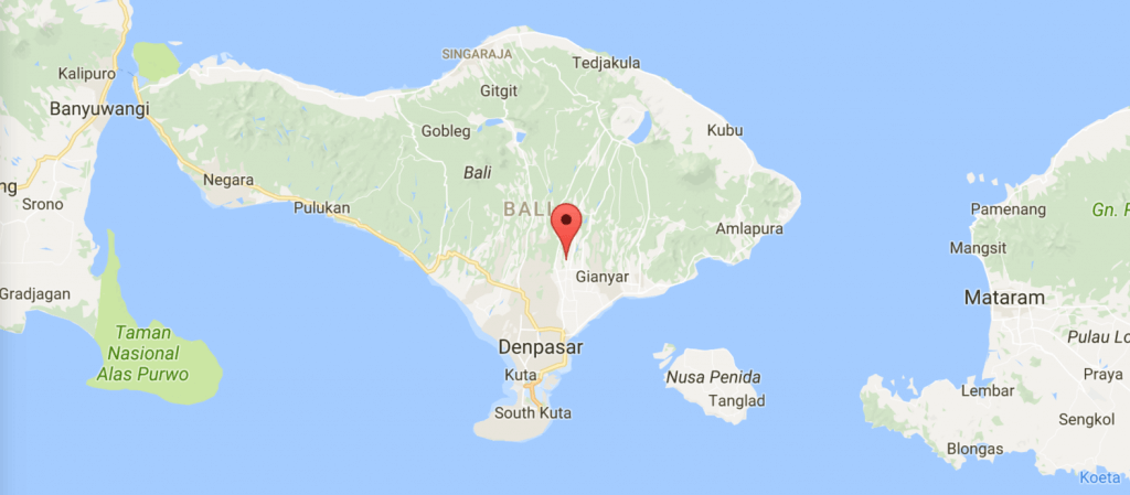 Ubud, Bali: the ULTIMATE guide to Ubud and the best things to do!