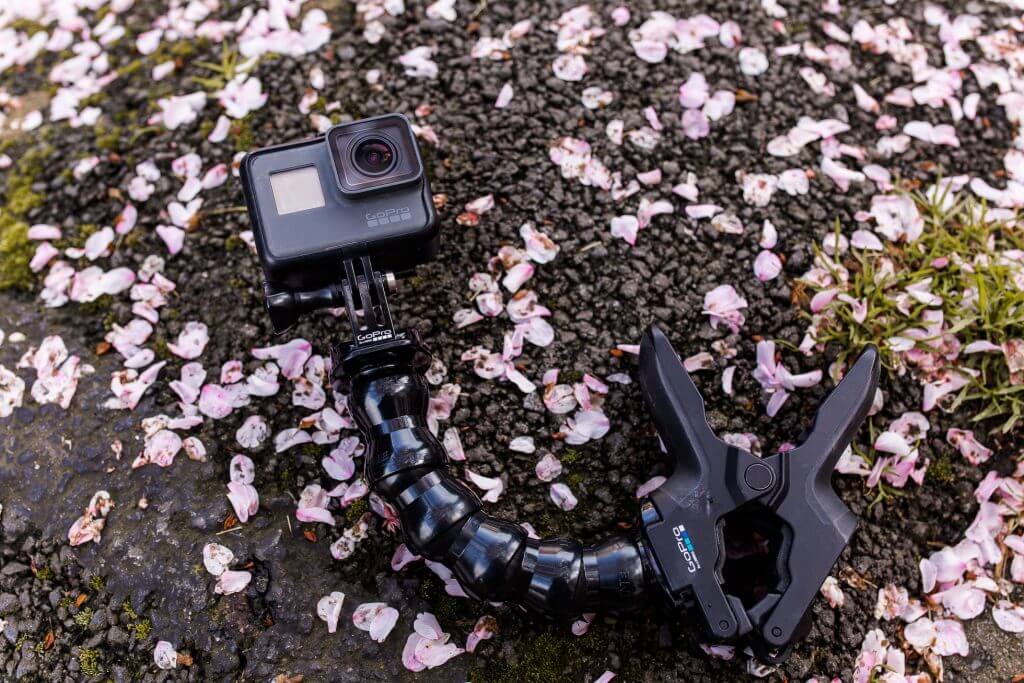 'Getting the shot': My top tips for shooting with a GoPro