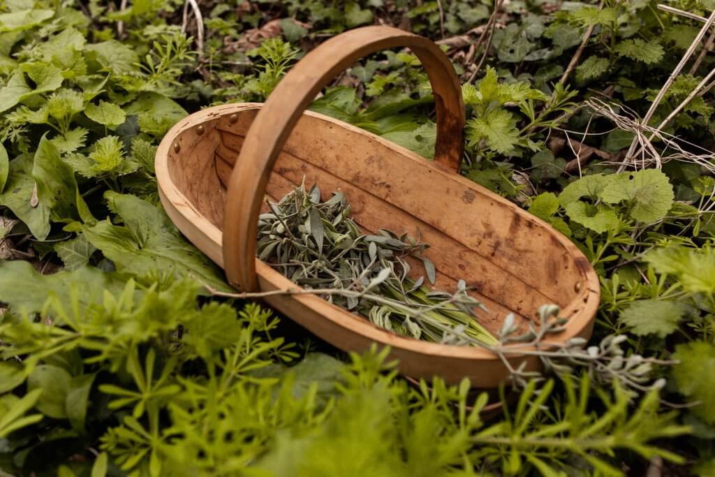 18 unique things to do in England: the ULTIMATE 2021 bucket list!