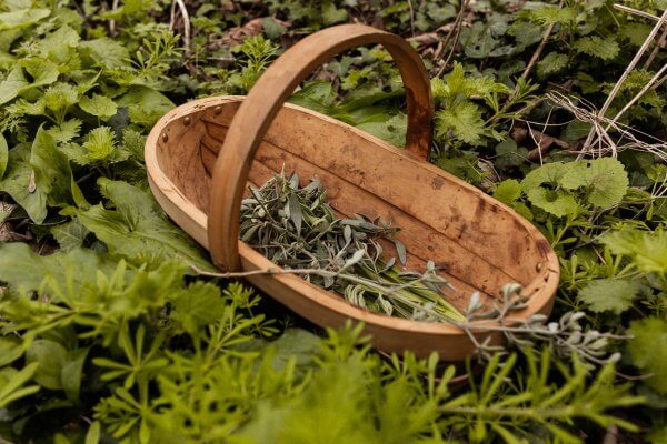 18 unique things to do in England: the ULTIMATE 2021 bucket list!