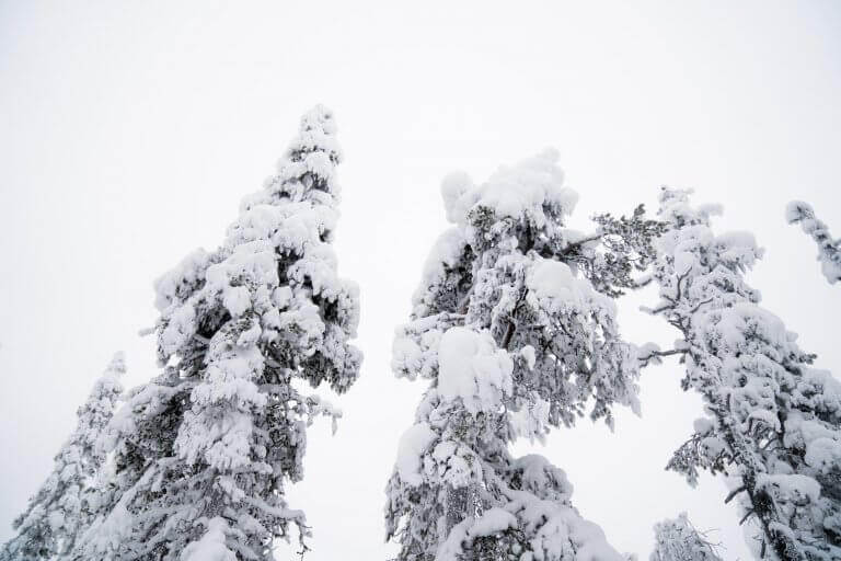 A winter travel guide to Levi, Finland. Visit Santa Claus!