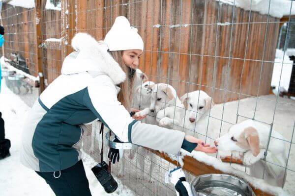 Finnish Lapland: 14 photos that will make you want to visit!