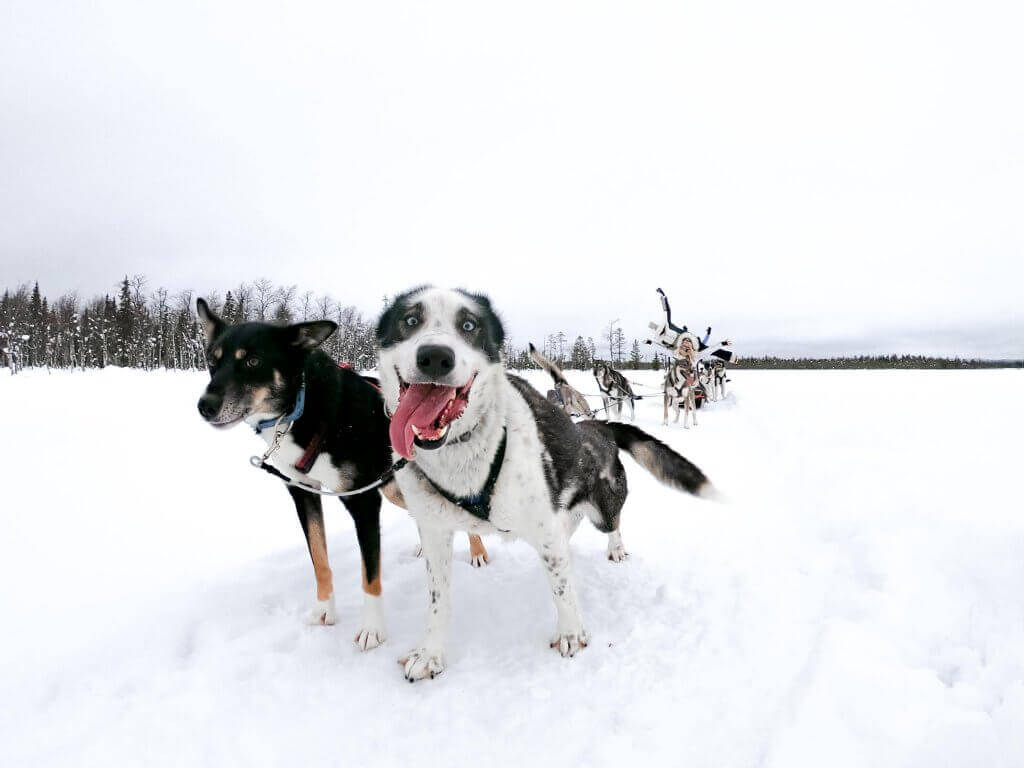 A winter travel guide to Levi, Finland. Visit Santa Claus!