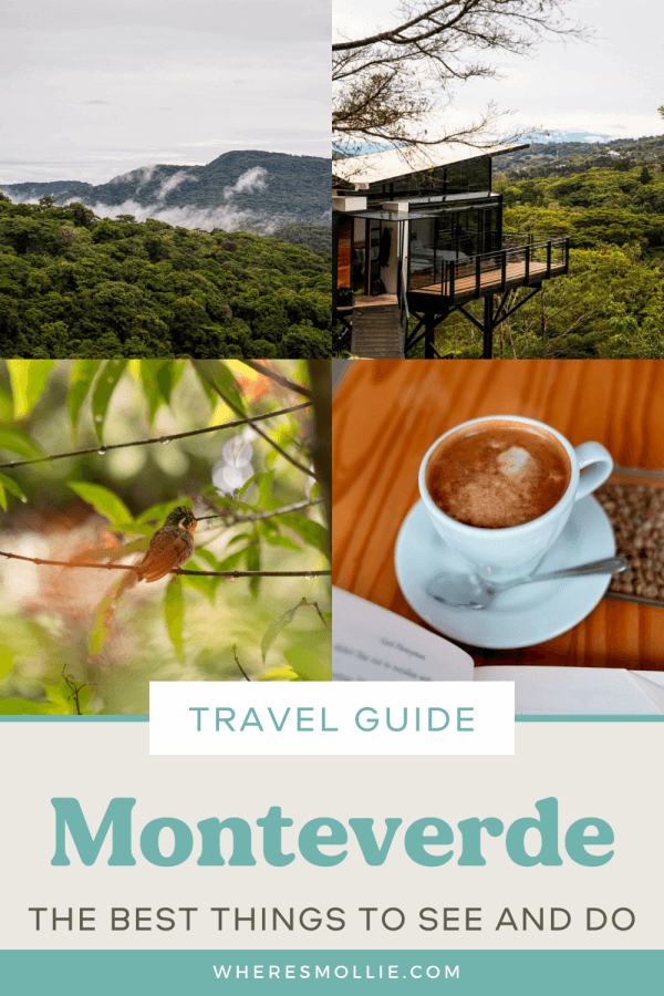 The Ultimate Monteverde Travel Guide | 2021 Edition