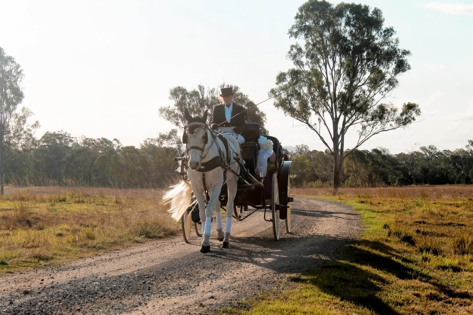 Volunteering in Australia: everything you need to know to get your visa!