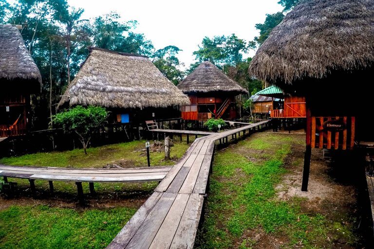 Visiting the Amazon rainforest: eco-friendly ways to travel to the Amazon!