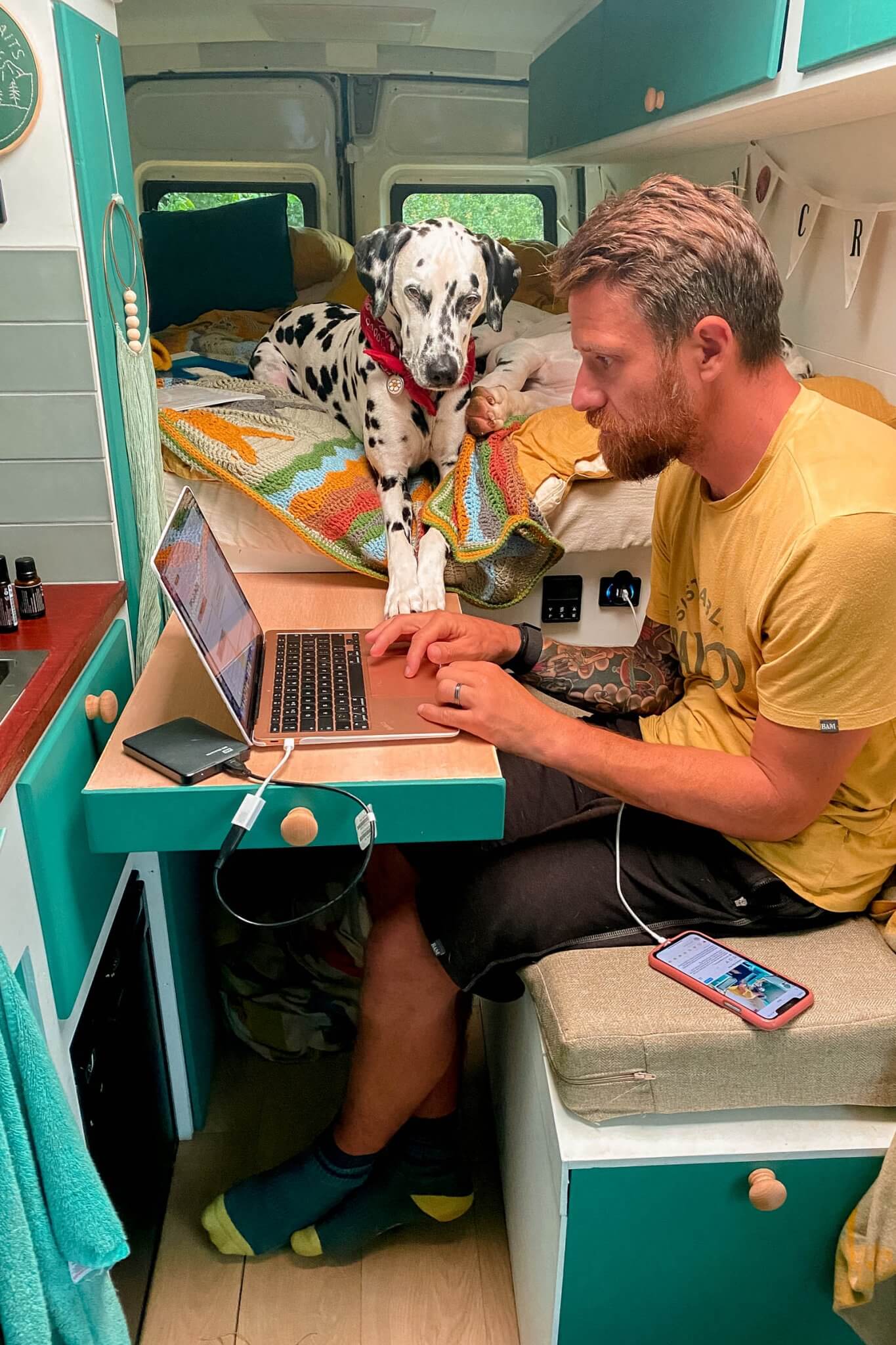 Travelling in a van with dogs: TOP TIPS & everything you need to know!