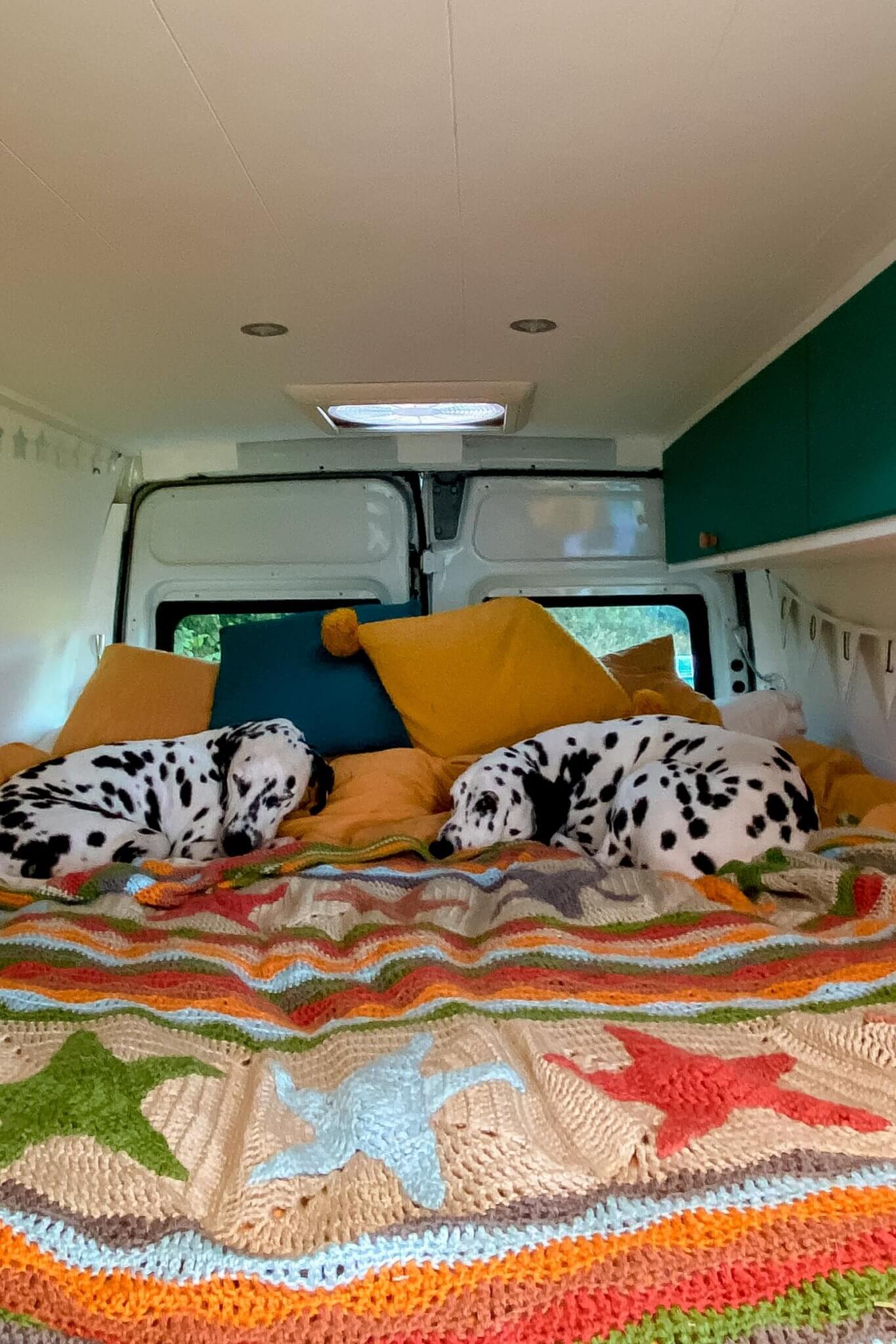 Travelling in a van with dogs: TOP TIPS & everything you need to know!