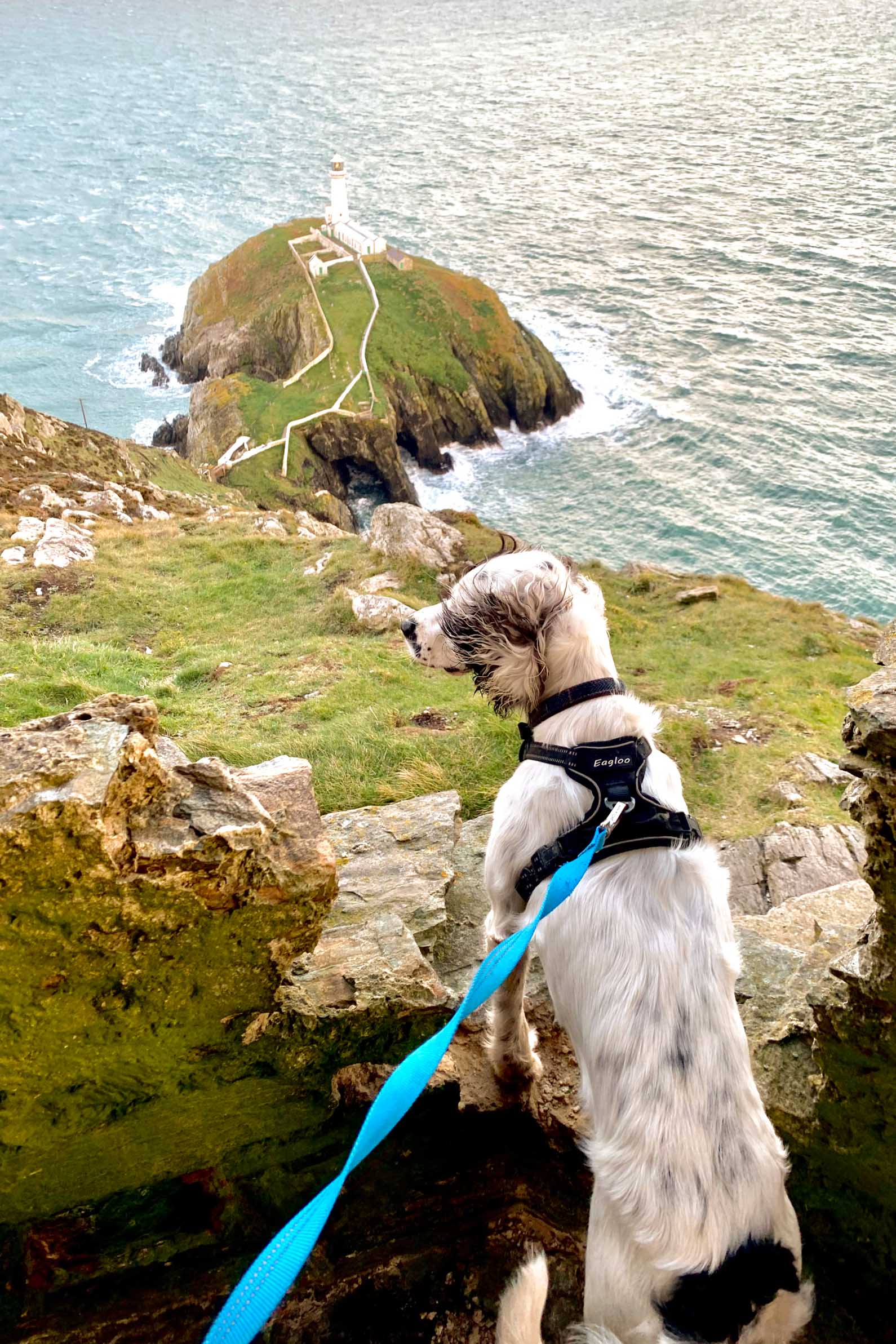 The BEST things to do in Anglesey, Wales in 2022! - Wales travel guide