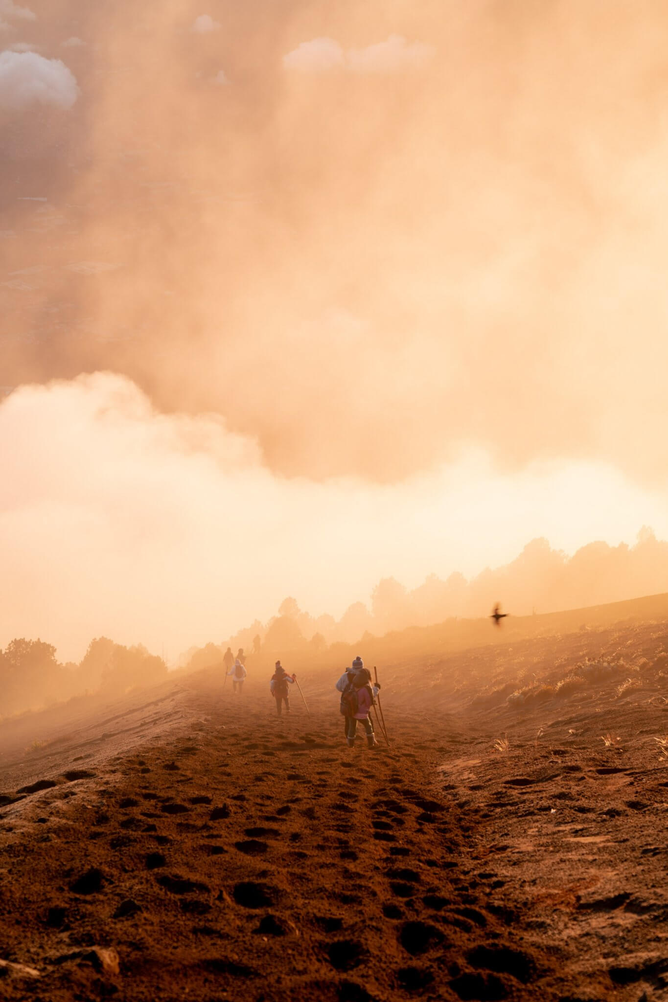 A guide to the Acatenango volcano hike, Guatemala - We Are Global ...