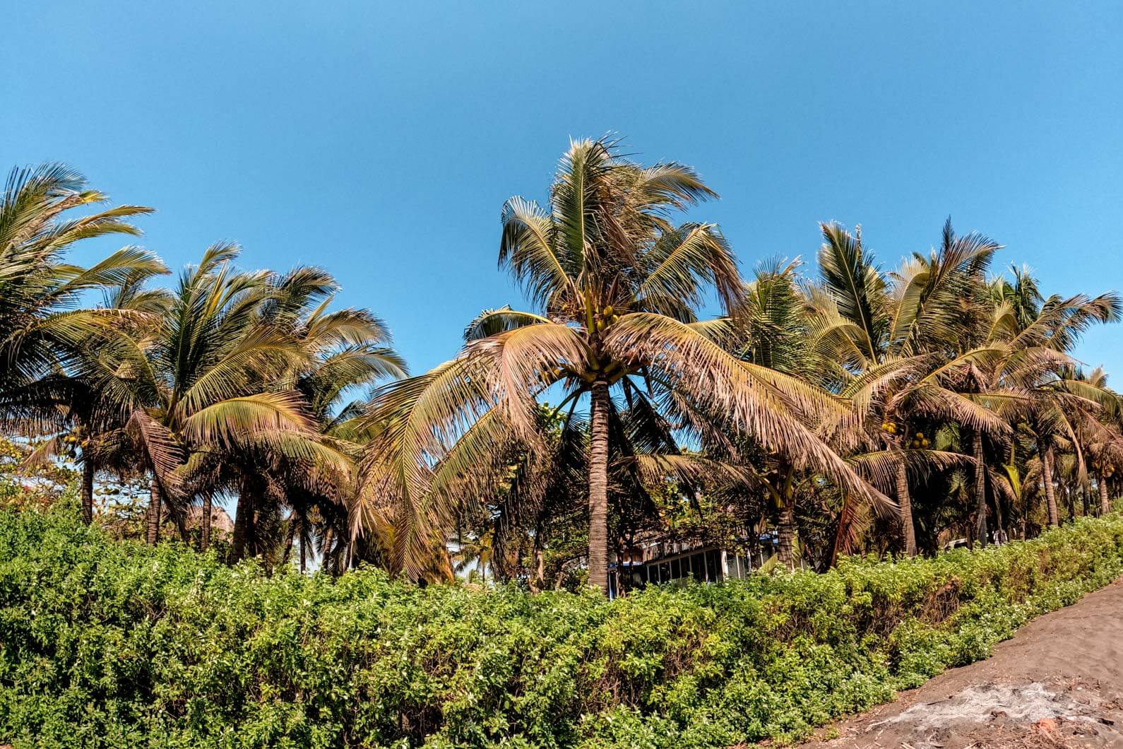 The 12 BEST Things To Do In El Paredon 2022 - We Are Global Travellers