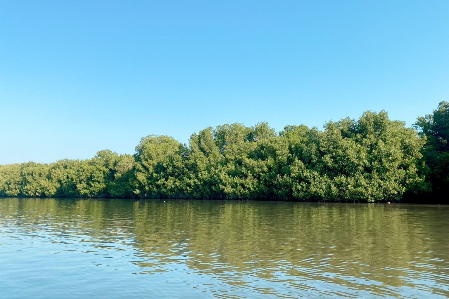 The 12 BEST Things To Do In El Paredon 2022 - We Are Global Travellers