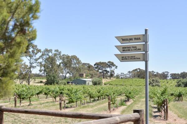 8 FUN things to do in South Australia - Australia travel guide