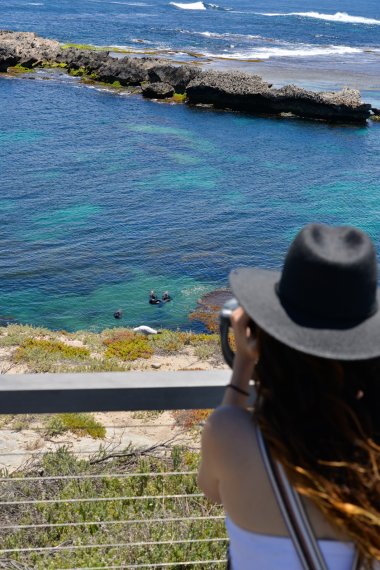9 TOP things to do on Rottnest Island - Rottnest Island day trip guide