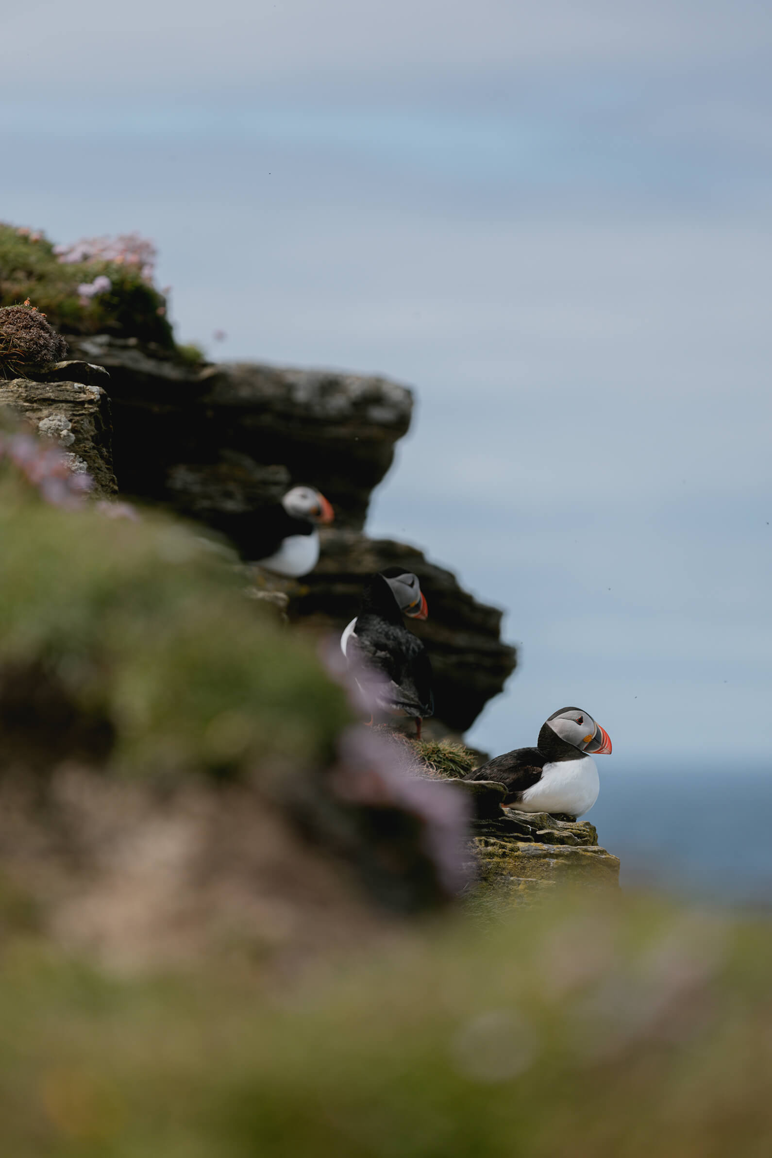10 BEST things to do in Orkney - Scotland bucket list inspiration!