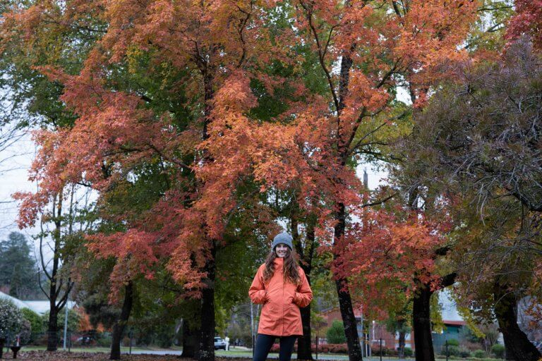 10 BEST things to do in Bright, Victoria - Australia travel guide