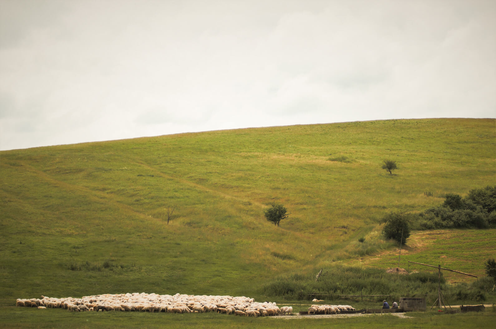 7 TOP places to visit in Transylvania: Romania travel guide