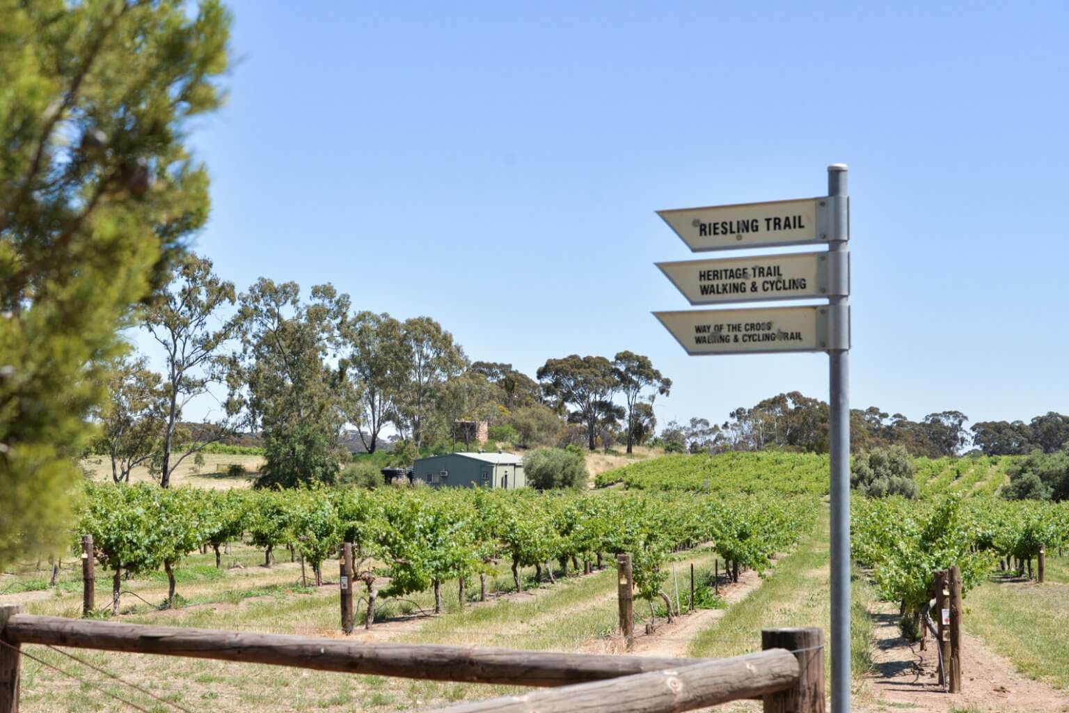 9 Best Things To Do In Adelaide - Australia travel guide