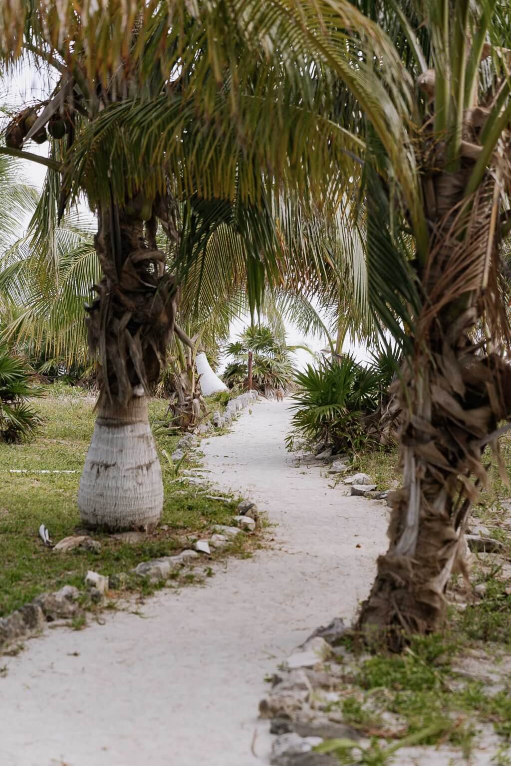 The BEST things to do in Holbox - A 2023 Mexico Travel Guide