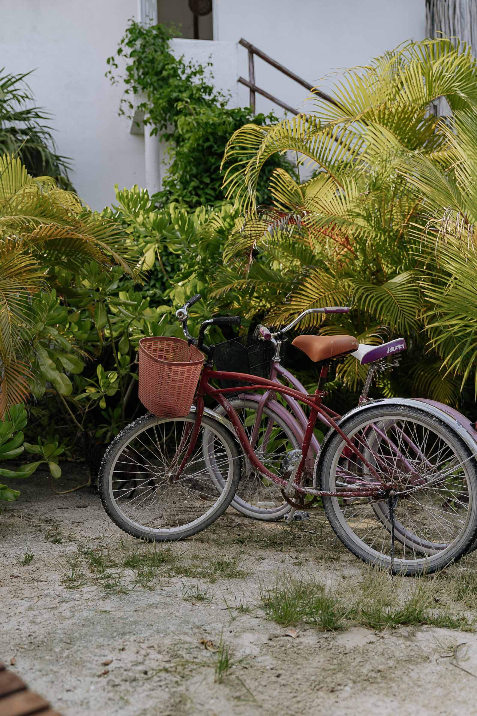 The BEST things to do in Holbox - A 2023 Mexico Travel Guide