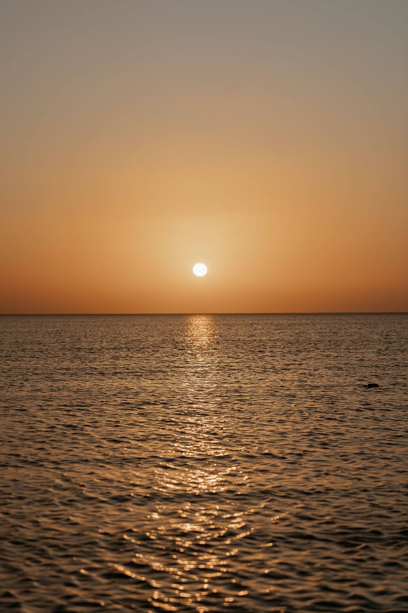 The BEST things to do in Holbox - A 2023 Mexico Travel Guide