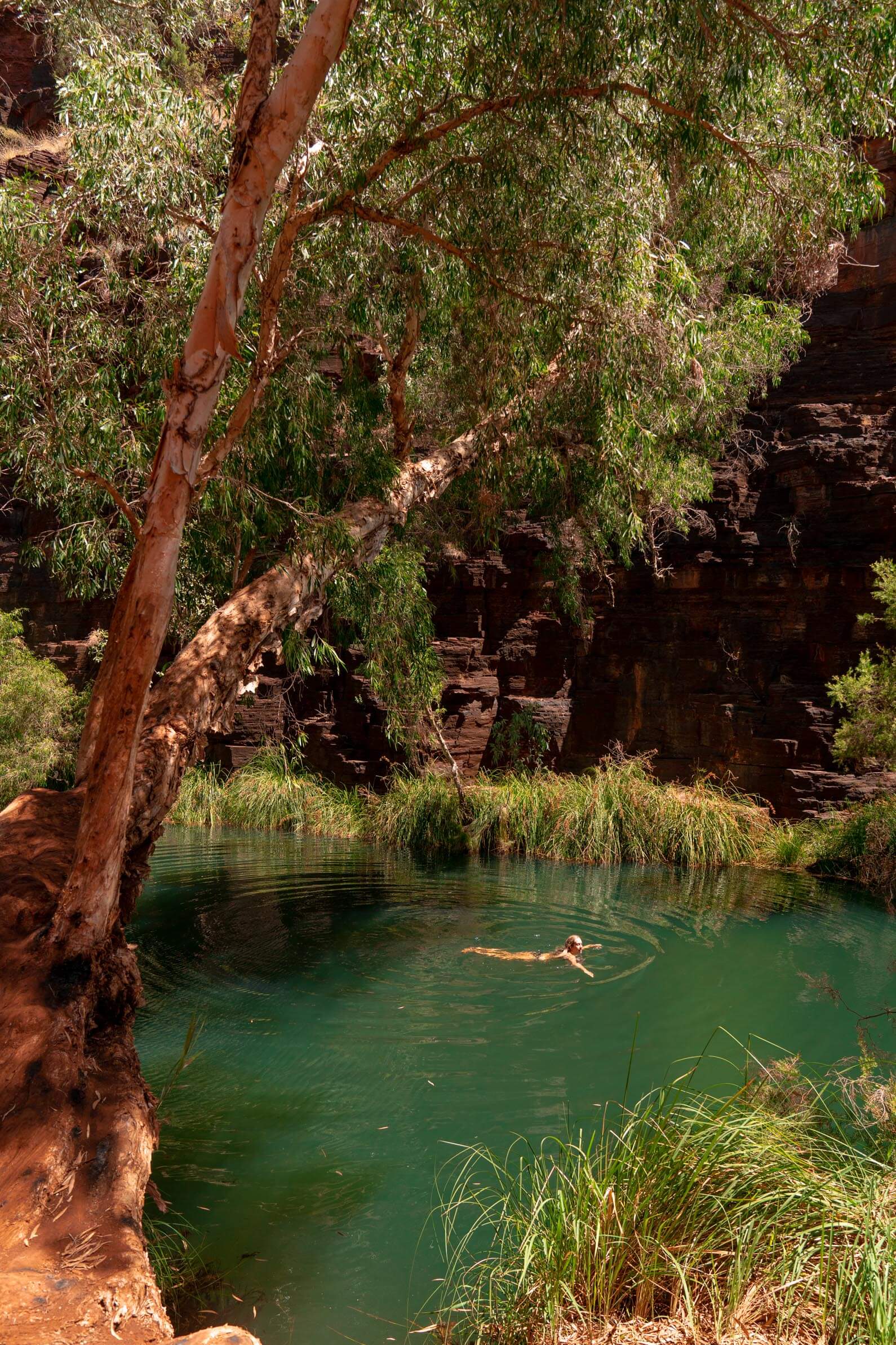 Planning Your Western Australia Road Trip - A 2023 Guide