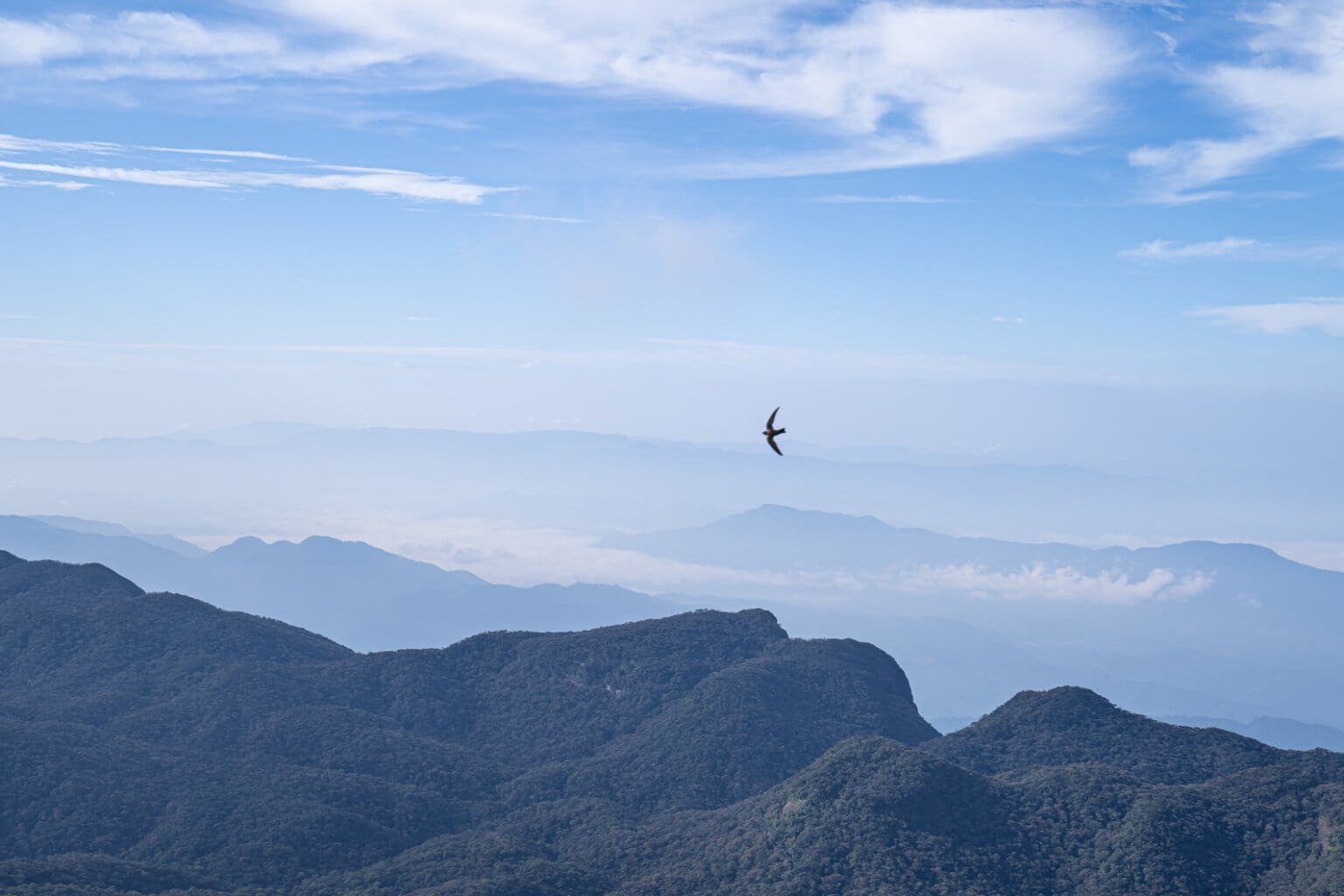 A complete guide for hiking Adam's Peak - A 2023 Travel Guide