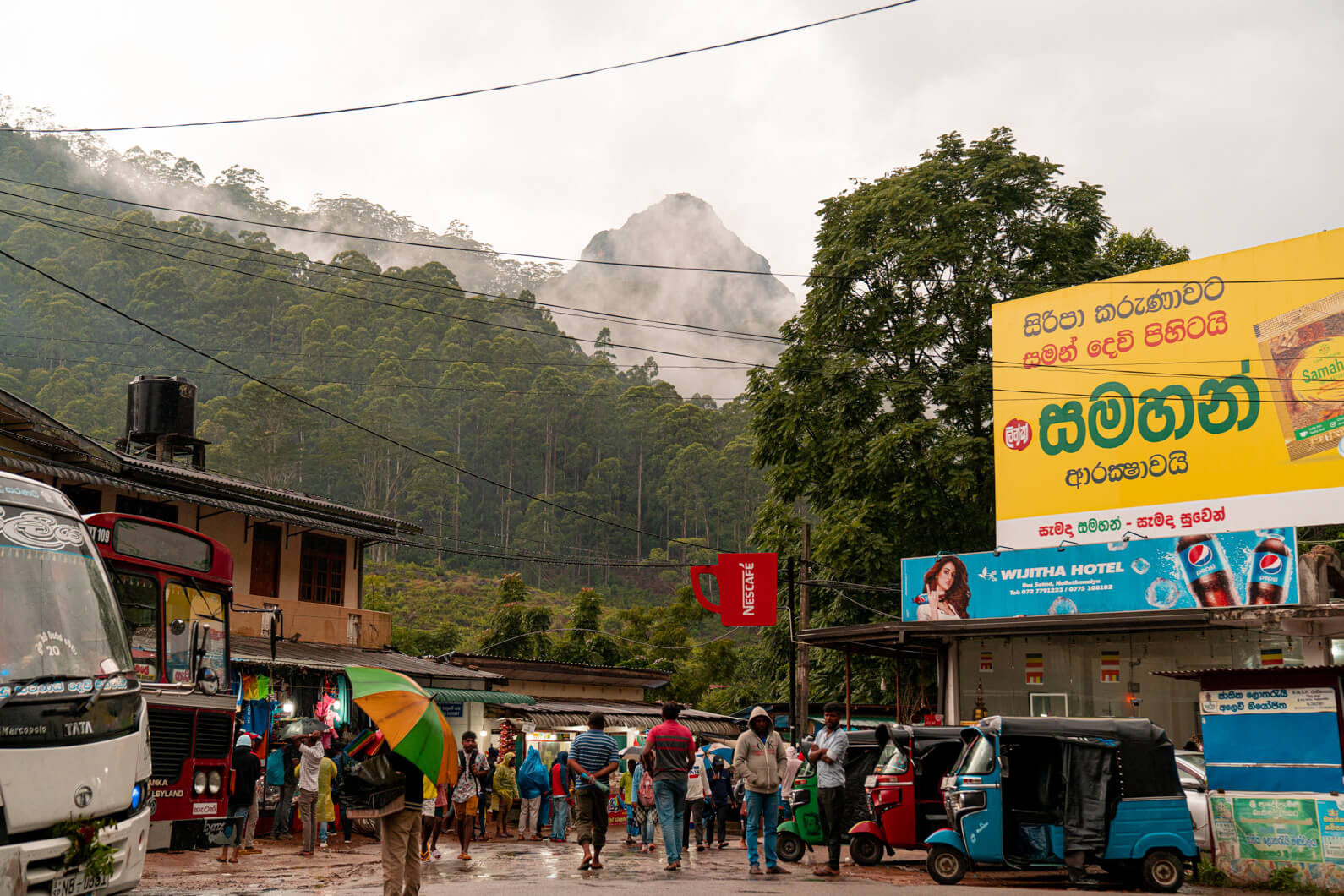 A complete guide for hiking Adam's Peak - A 2023 Travel Guide