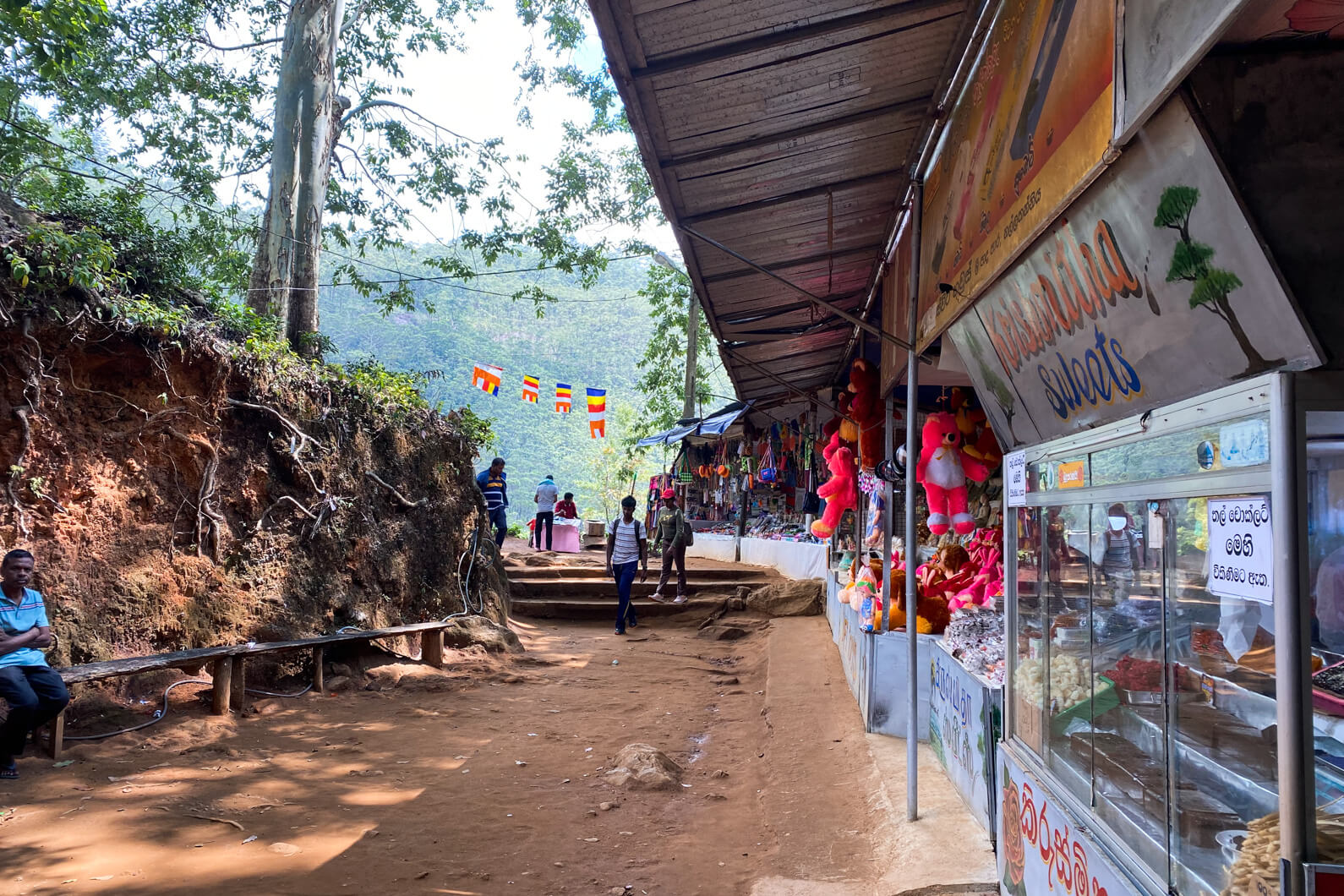 A complete guide for hiking Adam's Peak - A 2023 Travel Guide
