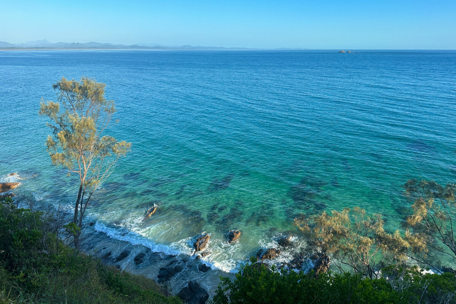 8 Best Things To Do In Springbrook National Park, Queensland - We Are ...