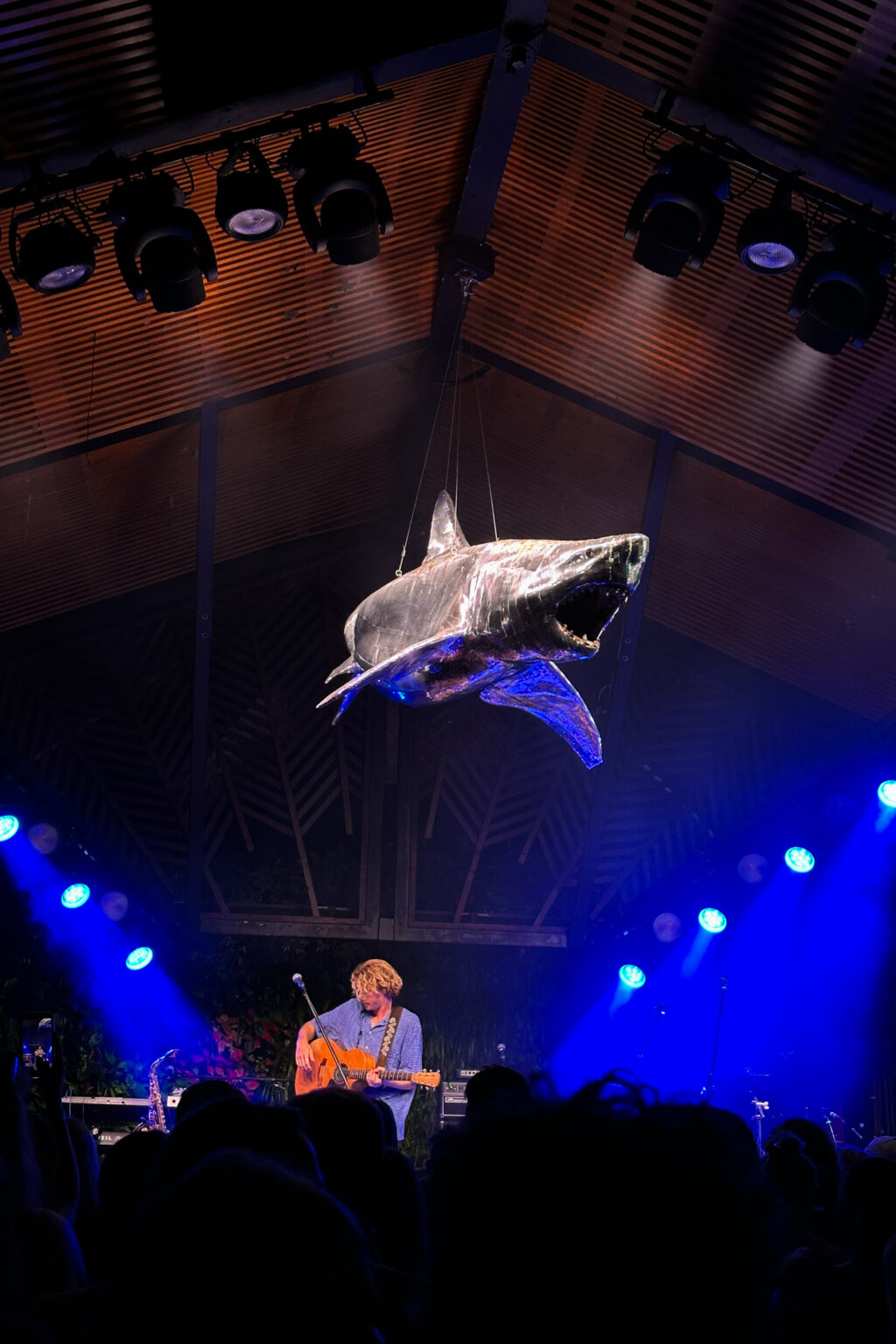 20 fun things you must do on your next trip to Byron Bay - We Are ...