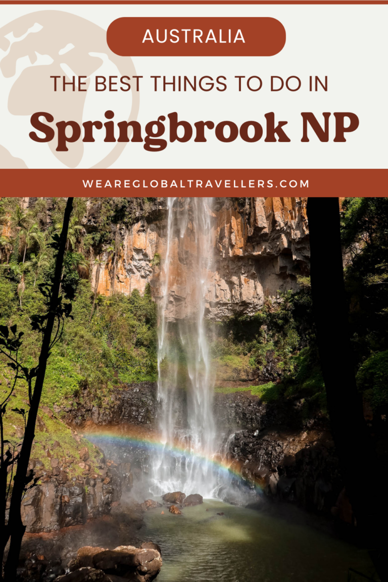 8 Best Things To Do In Springbrook National Park, Queensland - We Are ...
