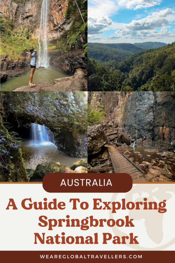 8 Best Things To Do In Springbrook National Park, Queensland - We Are ...