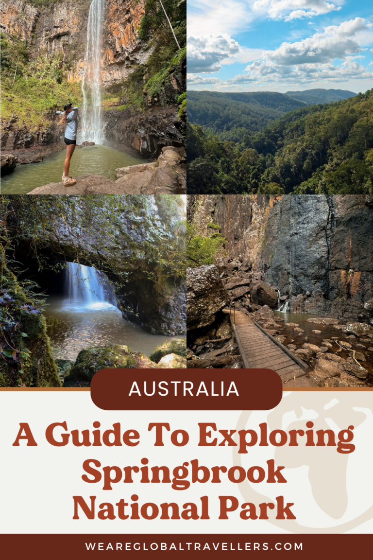 8 Best Things To Do In Springbrook National Park, Queensland - We Are ...