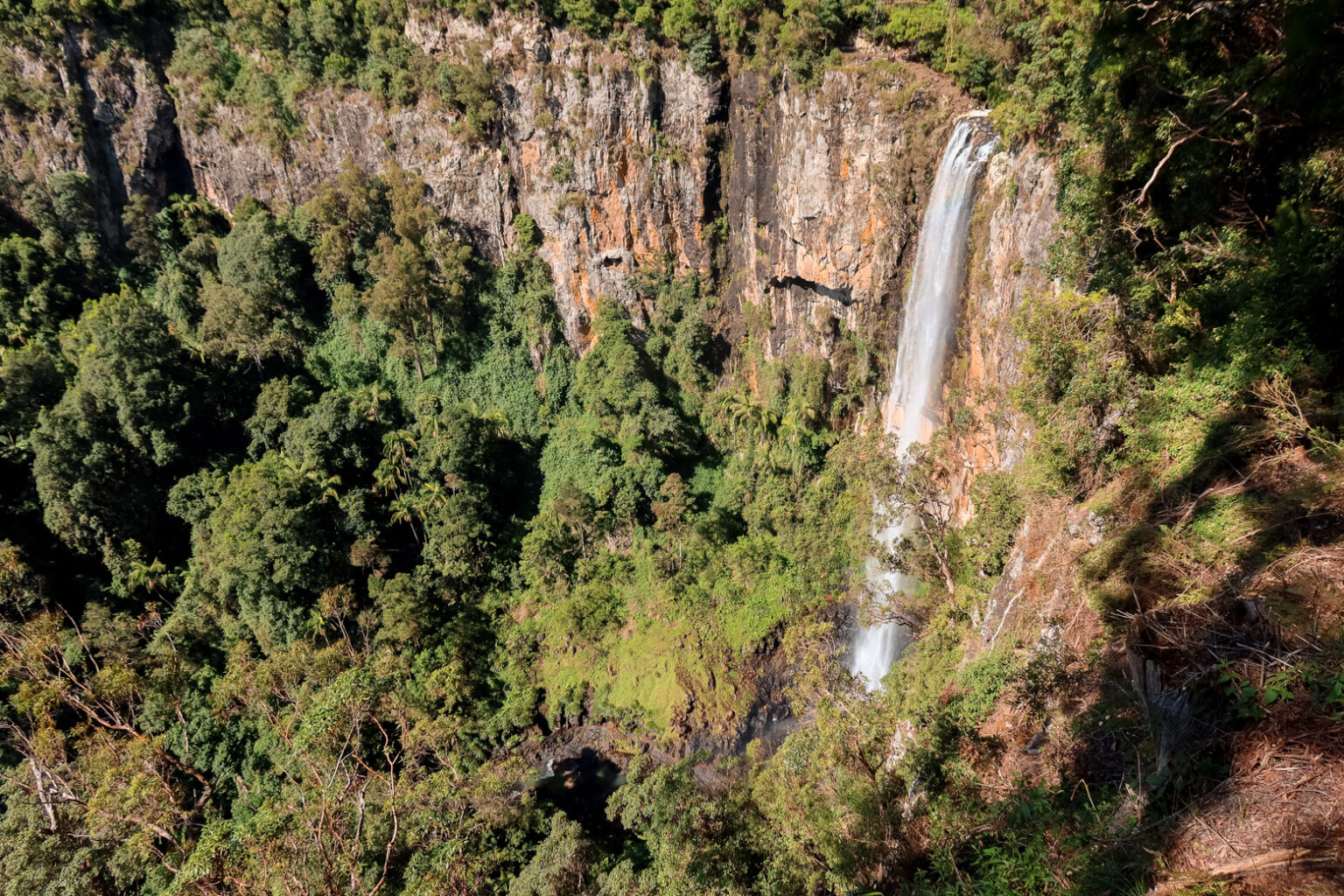 8 Best Things To Do In Springbrook National Park, Queensland - We Are ...