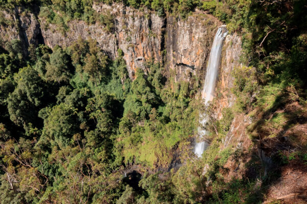 8 Best Things To Do In Springbrook National Park, Queensland - We Are ...