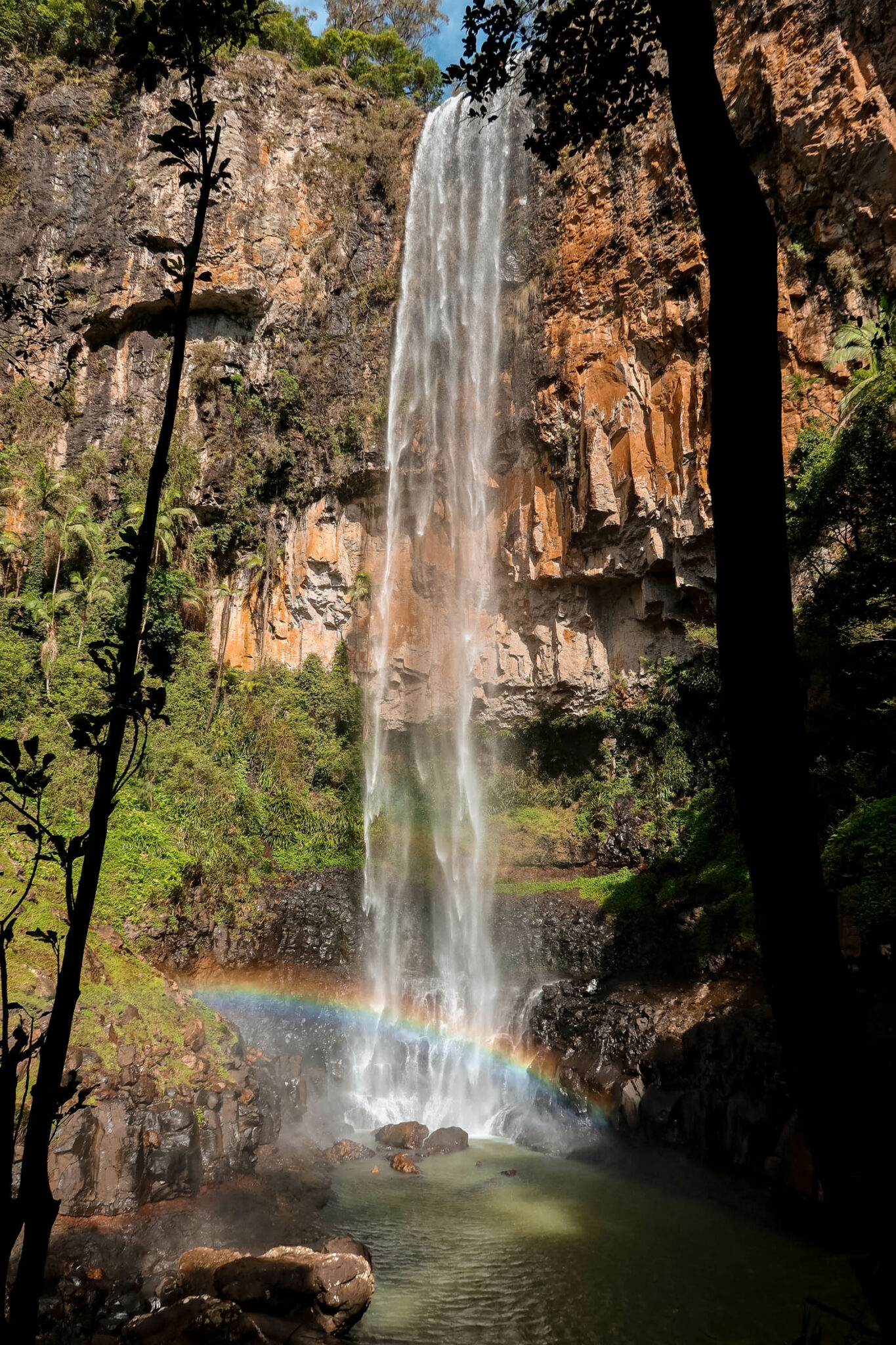8 Best Things To Do In Springbrook National Park, Queensland - We Are ...