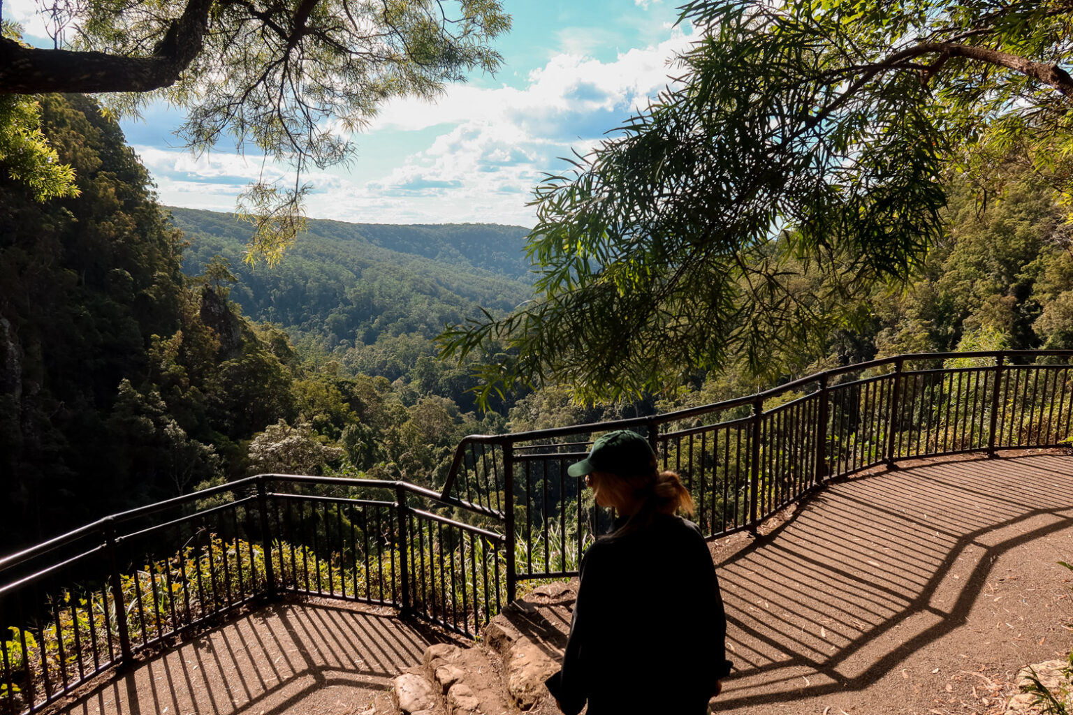8 Best Things To Do In Springbrook National Park, Queensland - We Are ...