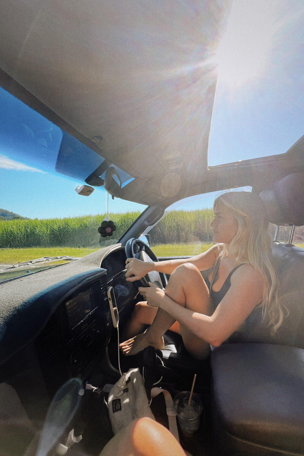 8 Best Things To Do In Springbrook National Park, Queensland - We Are Global Travellers