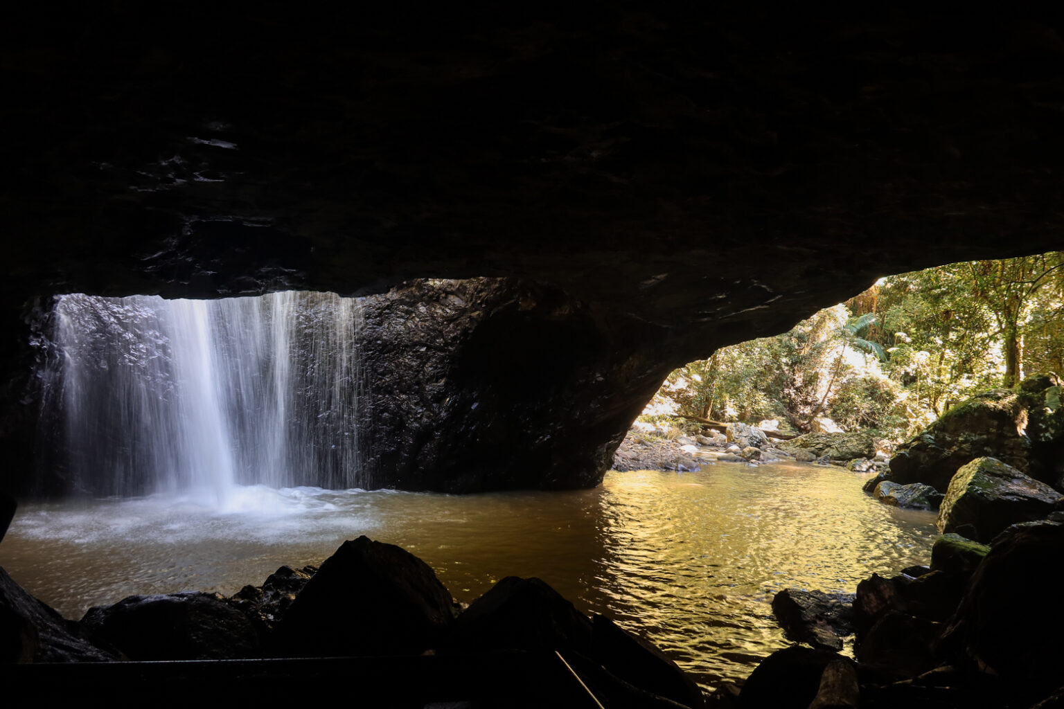8 Best Things To Do In Springbrook National Park, Queensland - We Are ...