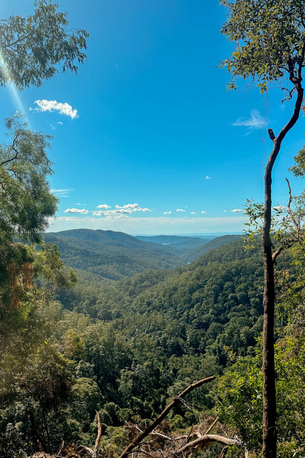 8 Best Things To Do In Springbrook National Park, Queensland - We Are Global Travellers