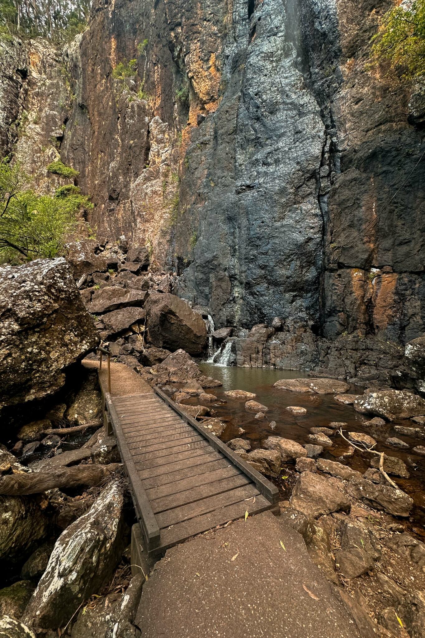 8 Best Things To Do In Springbrook National Park, Queensland - We Are ...