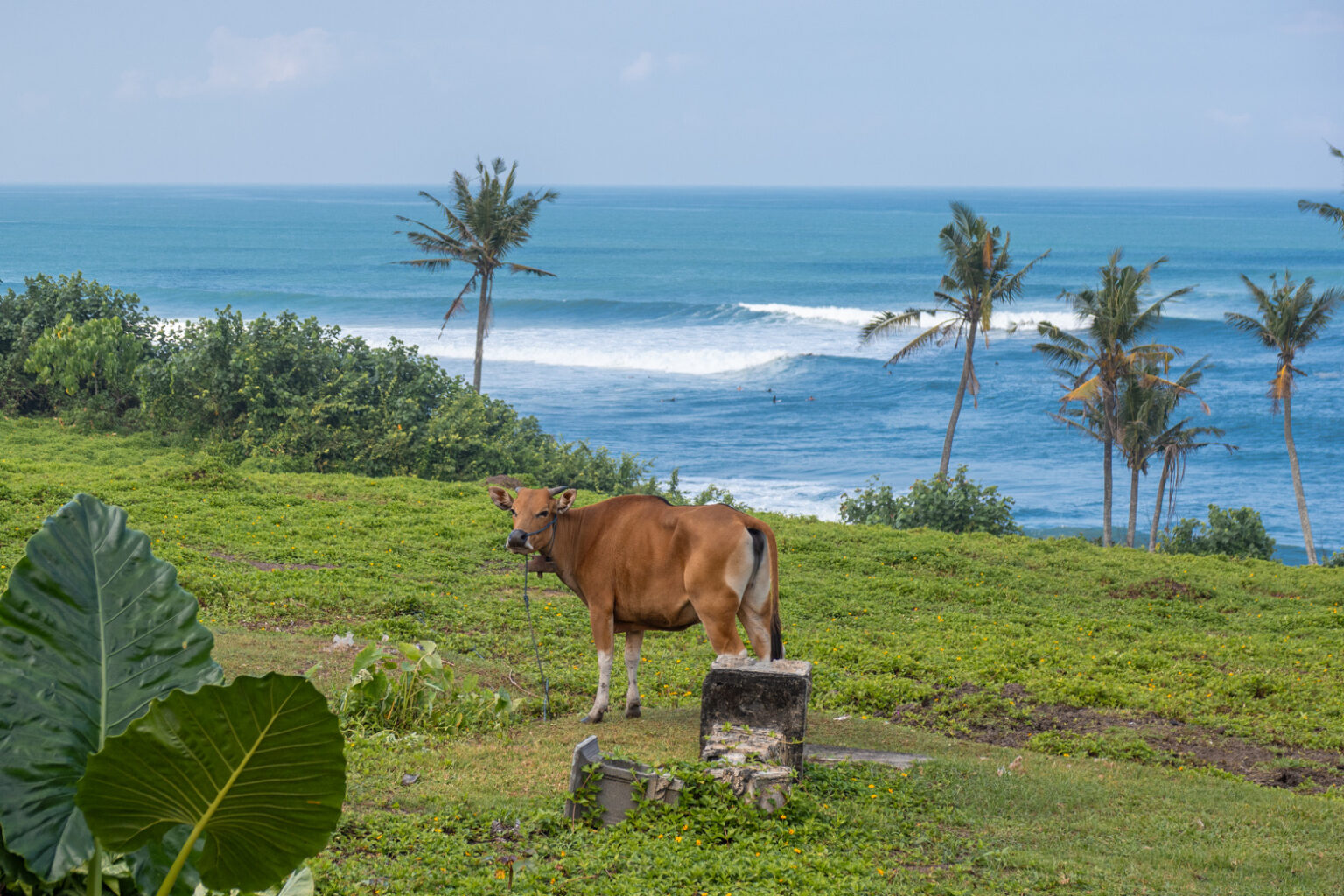 The best things to do in Balian Beach, Bali - We Are Global Travellers